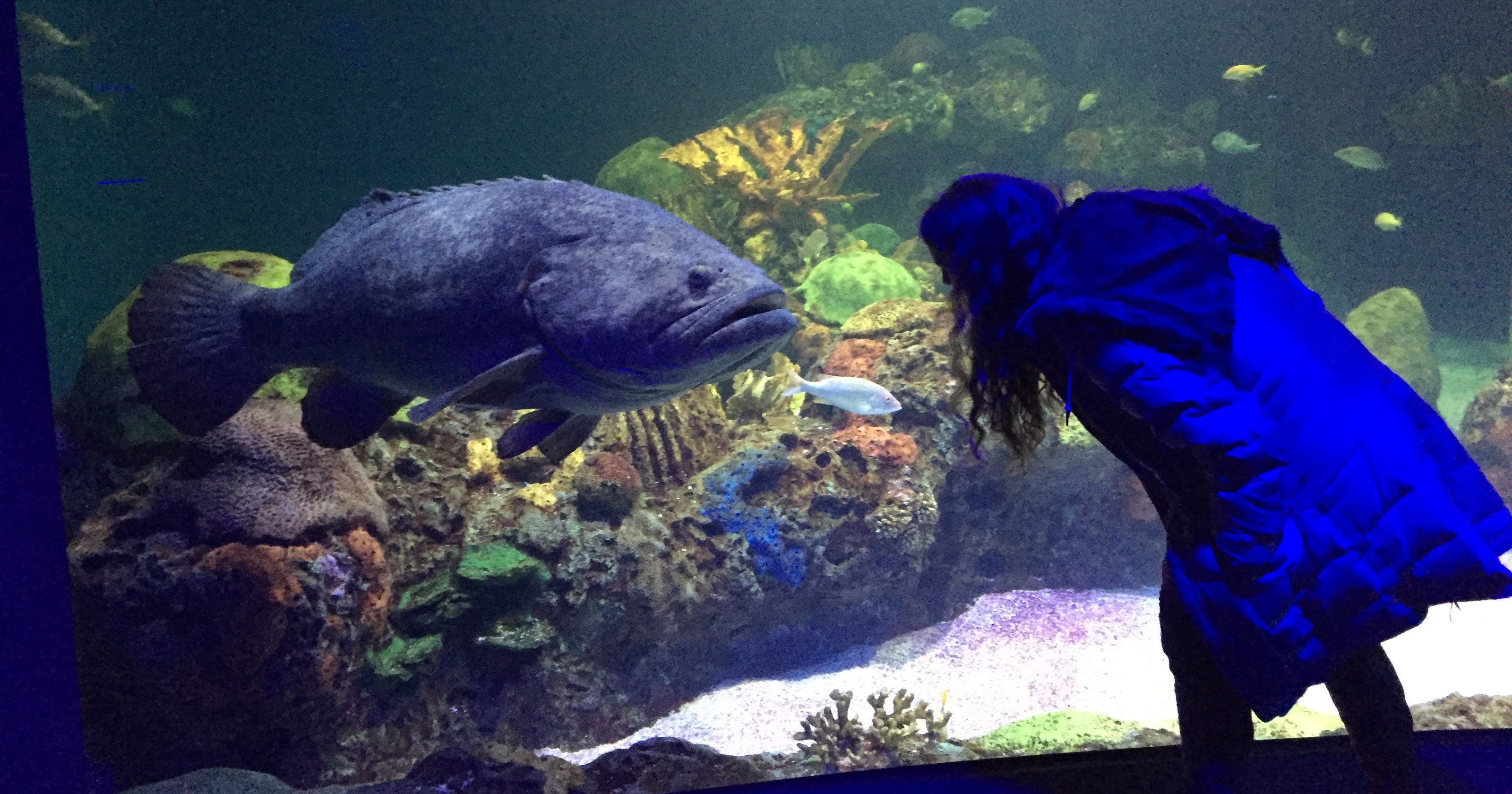 Bass Pro Wonders of Wildlife National Museum and Aquarium johnny Morris