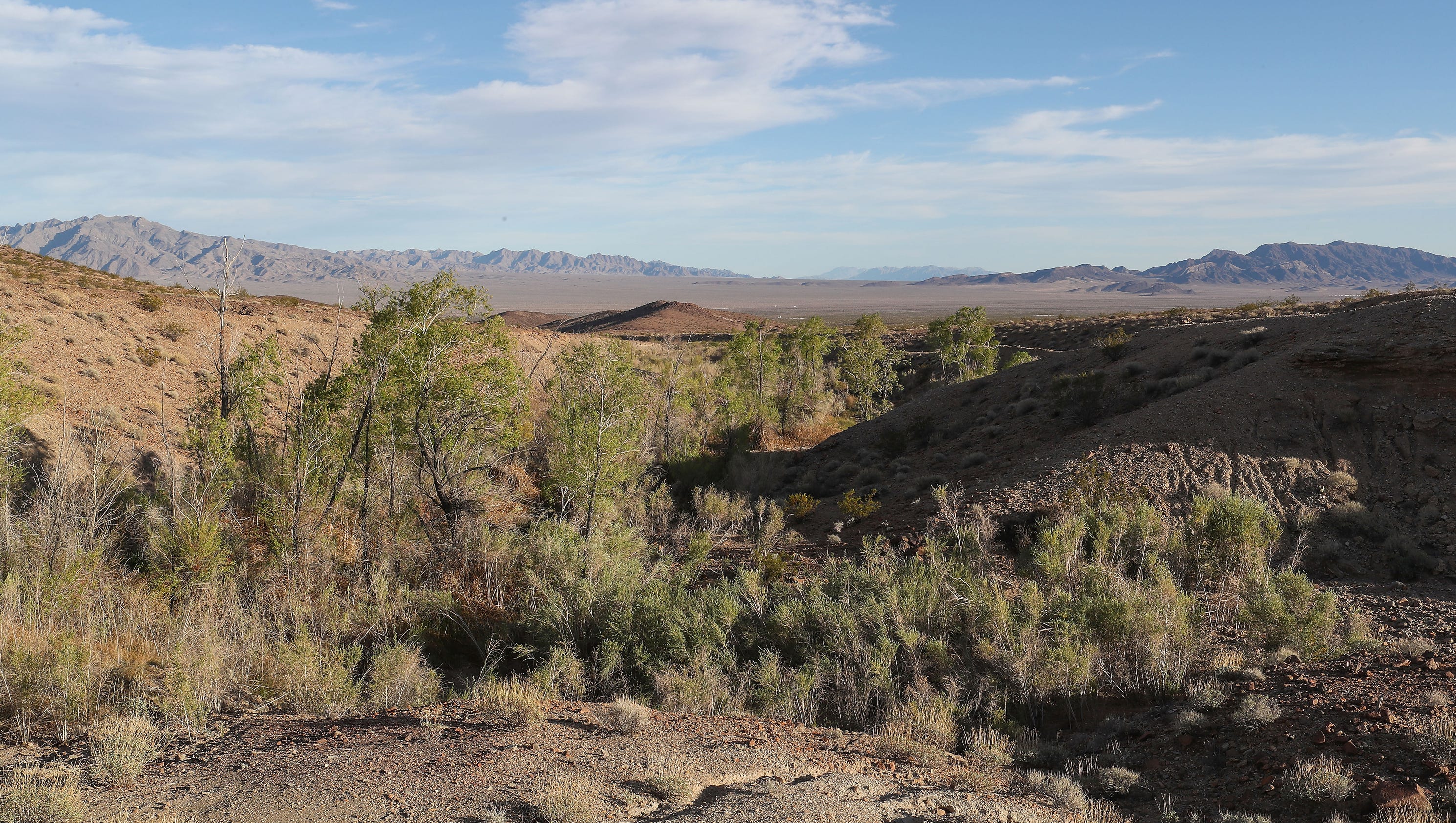 Mojave Desert spring imperiled by Cadiz water project, researchers say