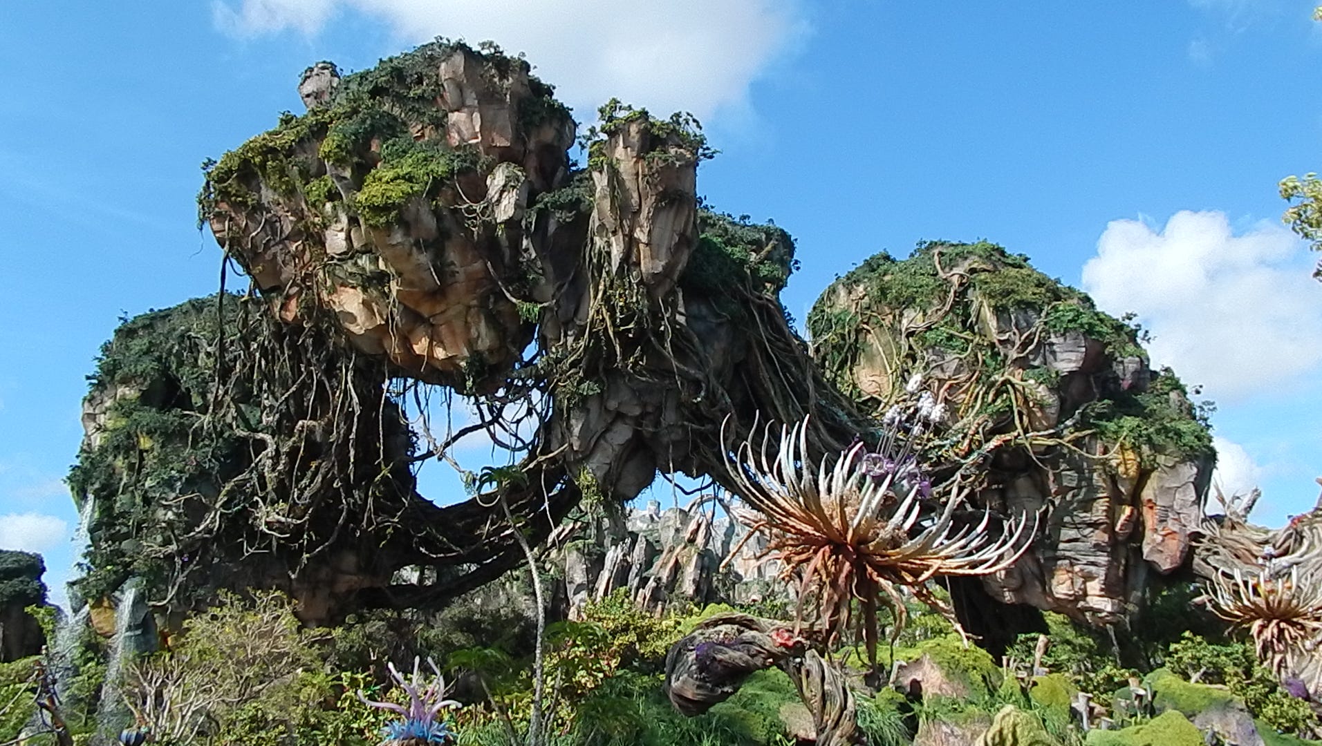 Disney brings Pandora to life