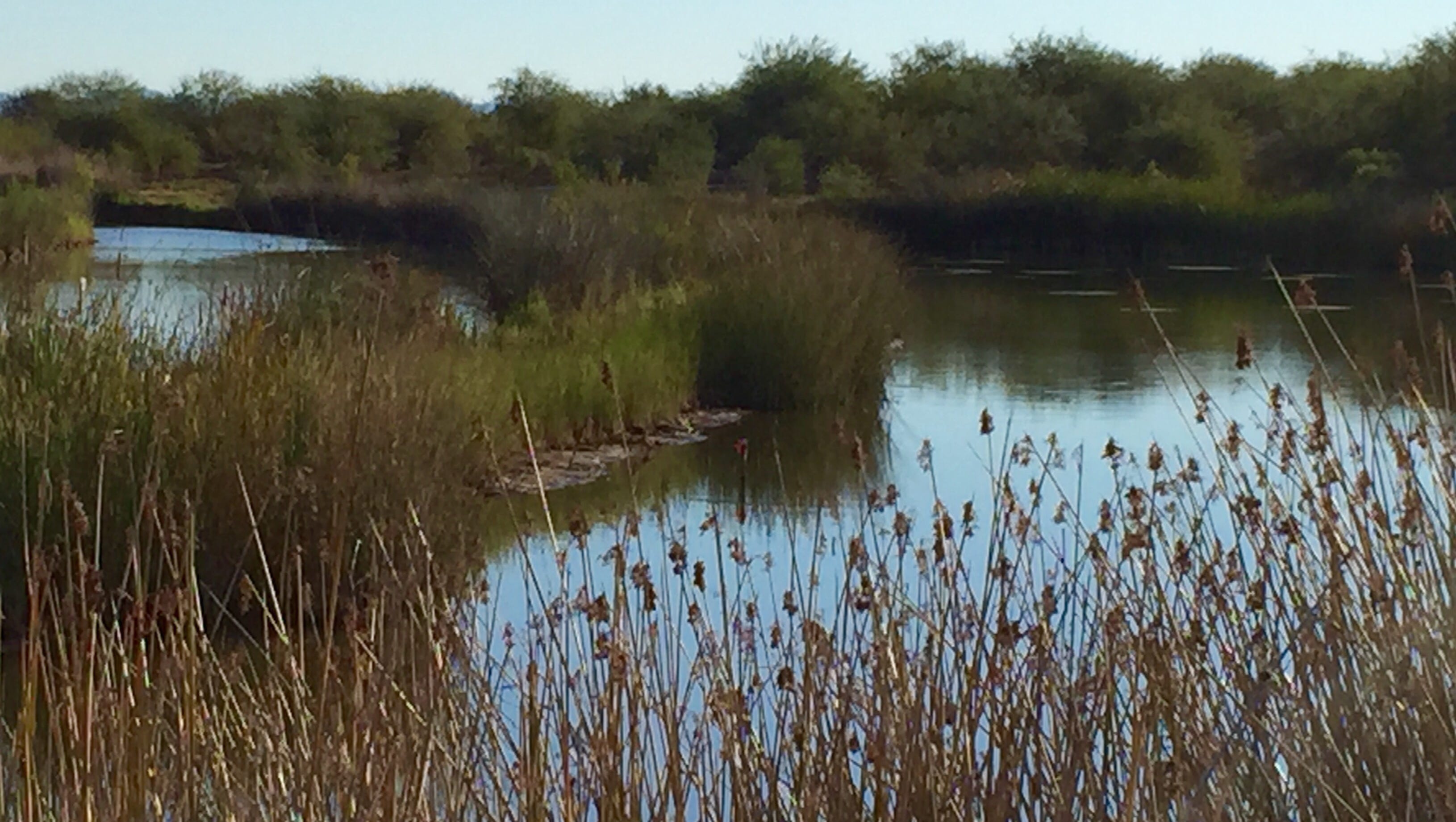 Destination Arizona: Travel guide to Yuma