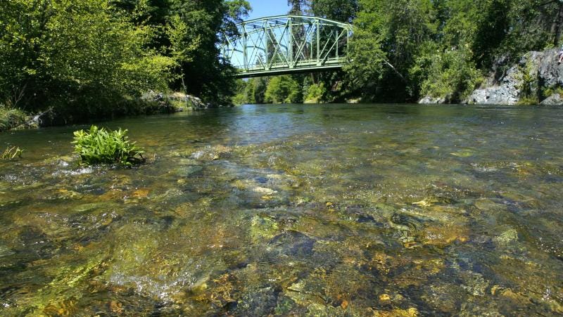Fly-fishing Applegate River Oregon’s best kept secret