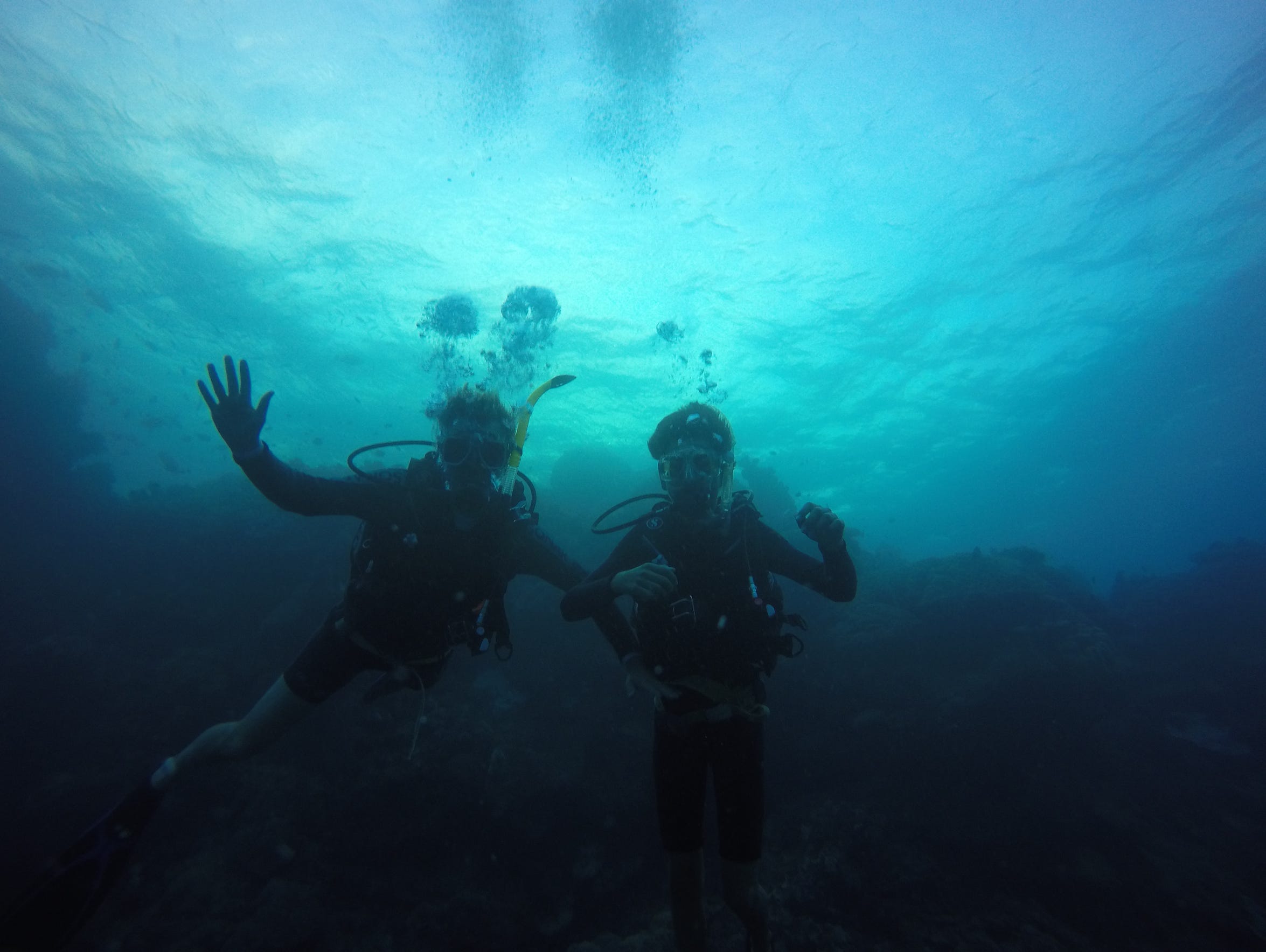 Visiting Australia's Great Barrier Reef, a reporter reflects on its crisis