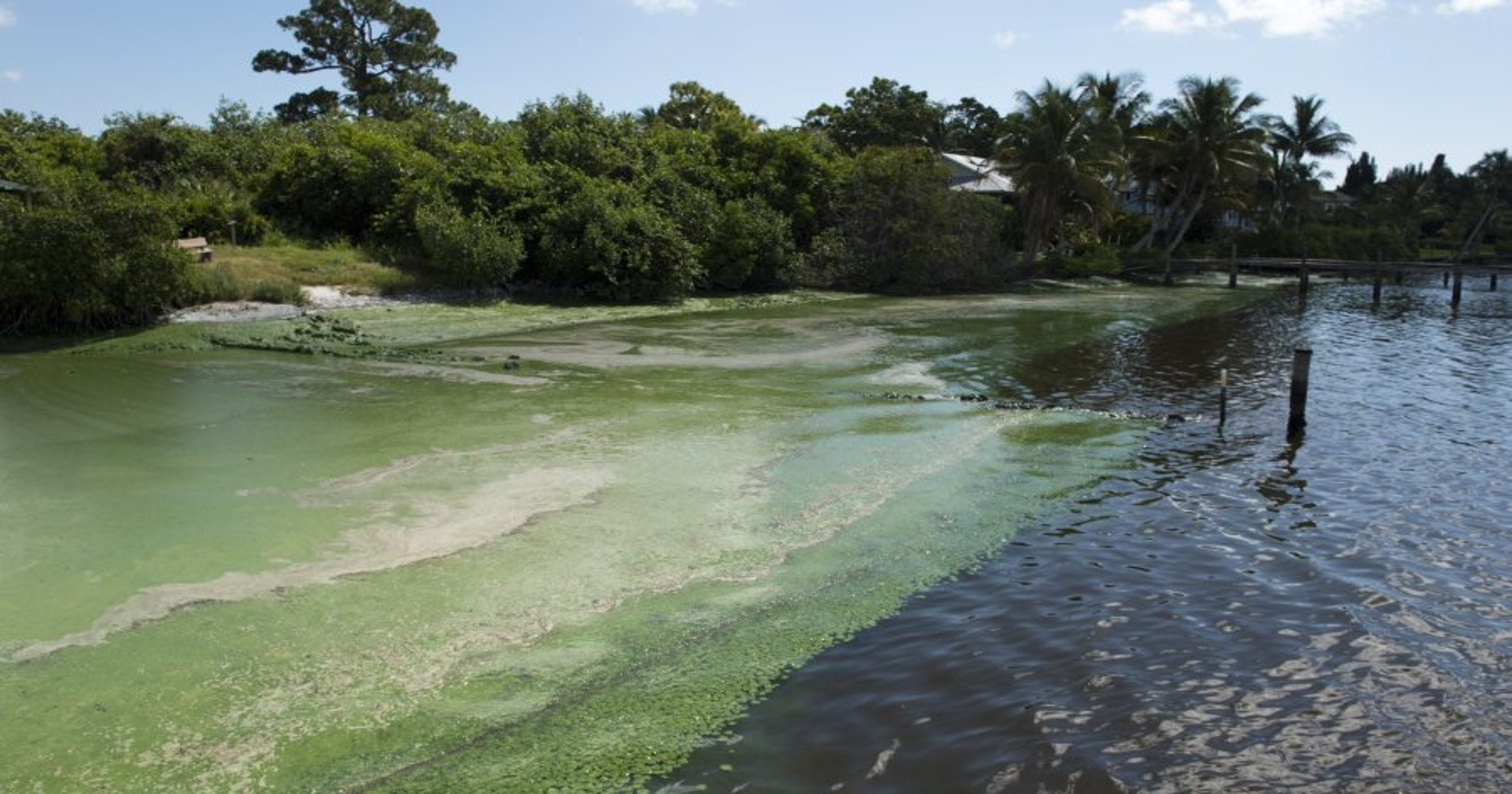 Florida Senate District 17 candidates Ritch Workman, Debbie Mayfield ...