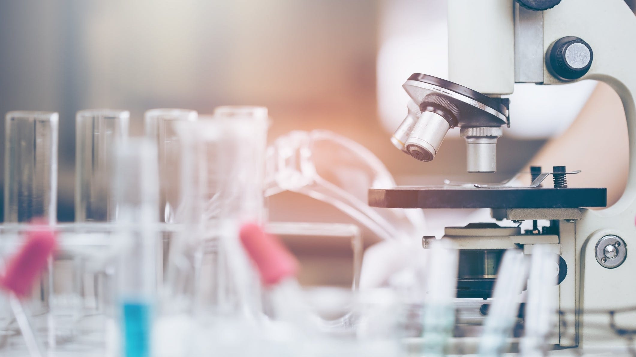 Fact check: False claim that video shows hot dog under microscope