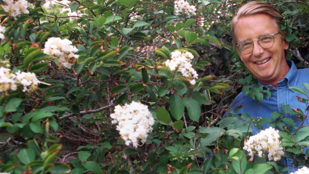 Delaney talks about fighting for Downtown