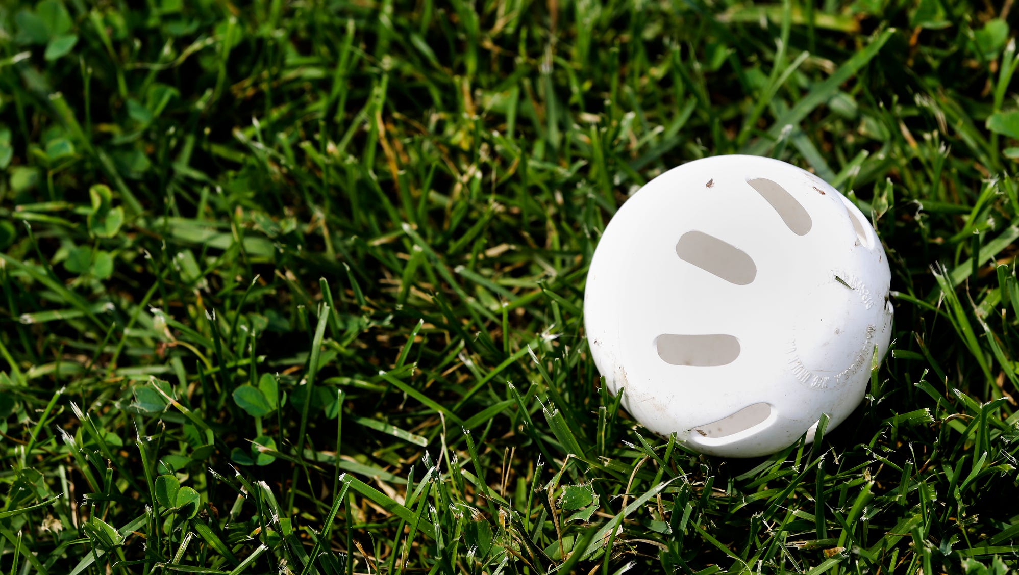 How Indiana gave birth to World Wiffle Ball Championship