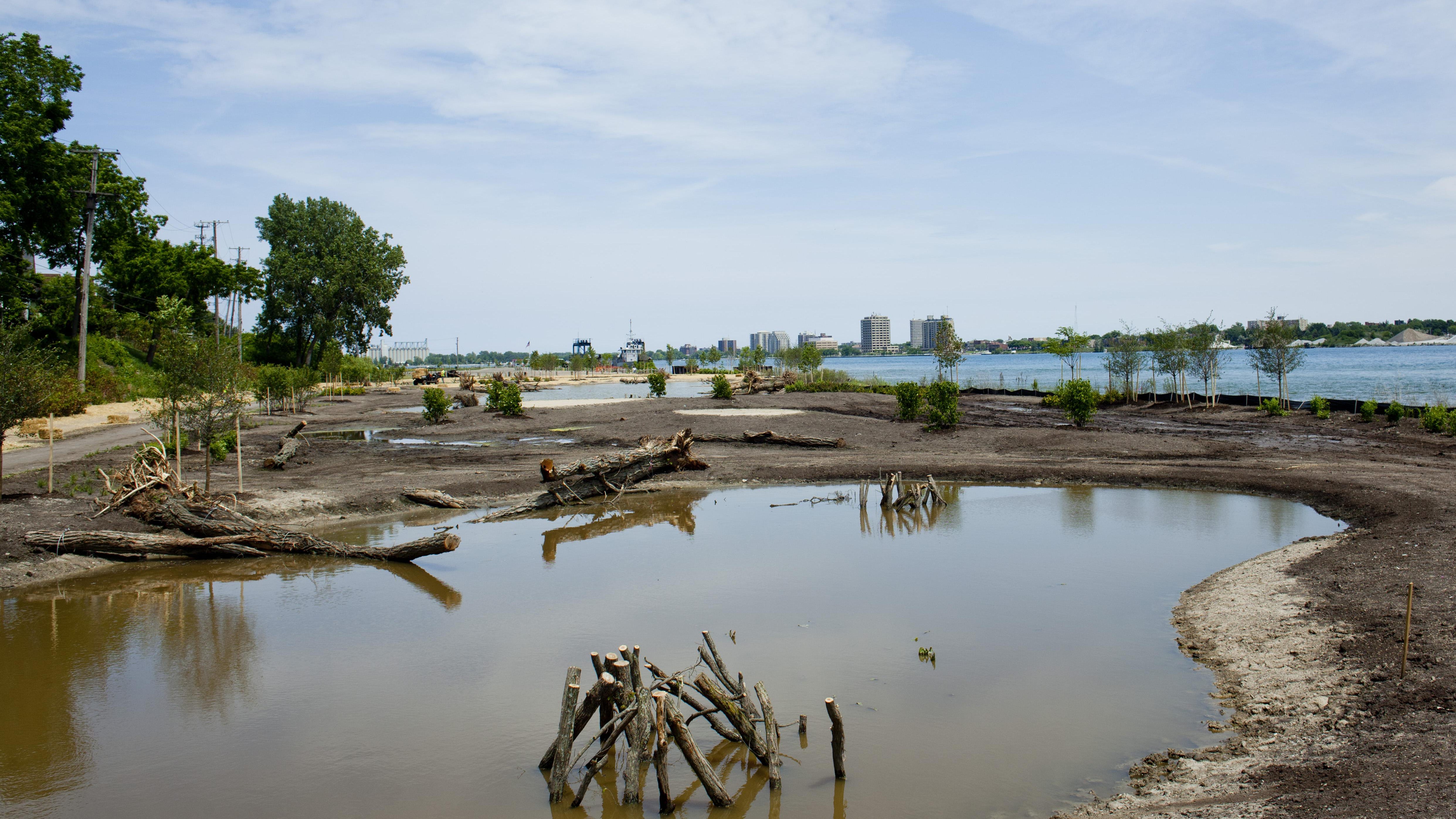 Blue Water River Walk wetlands project coming together