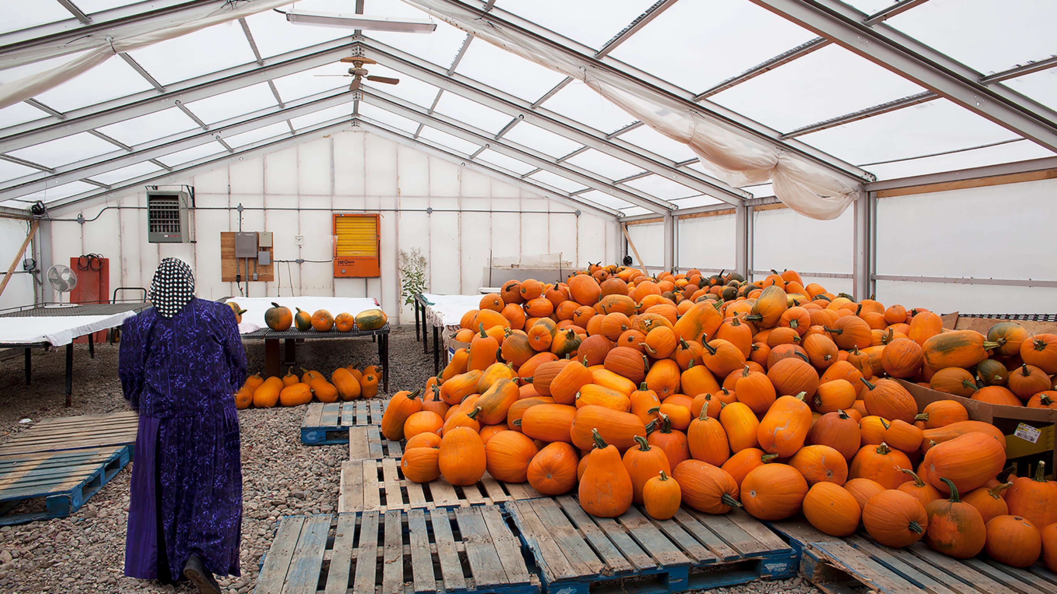 Photography exhibit captures life on Hutterite colonies