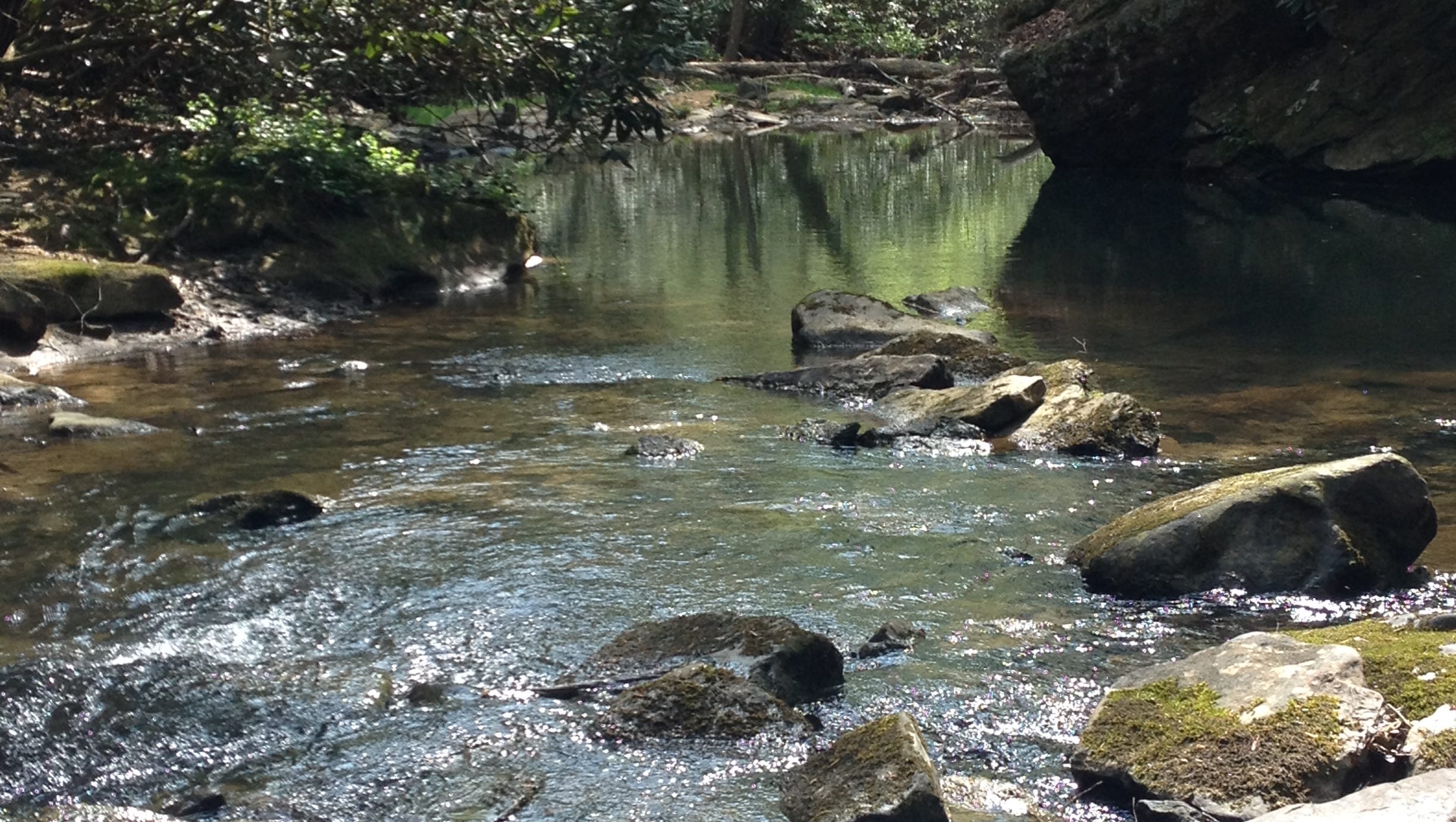 After COVID-19 shutdowns, it's time to get back to nature in Kentucky