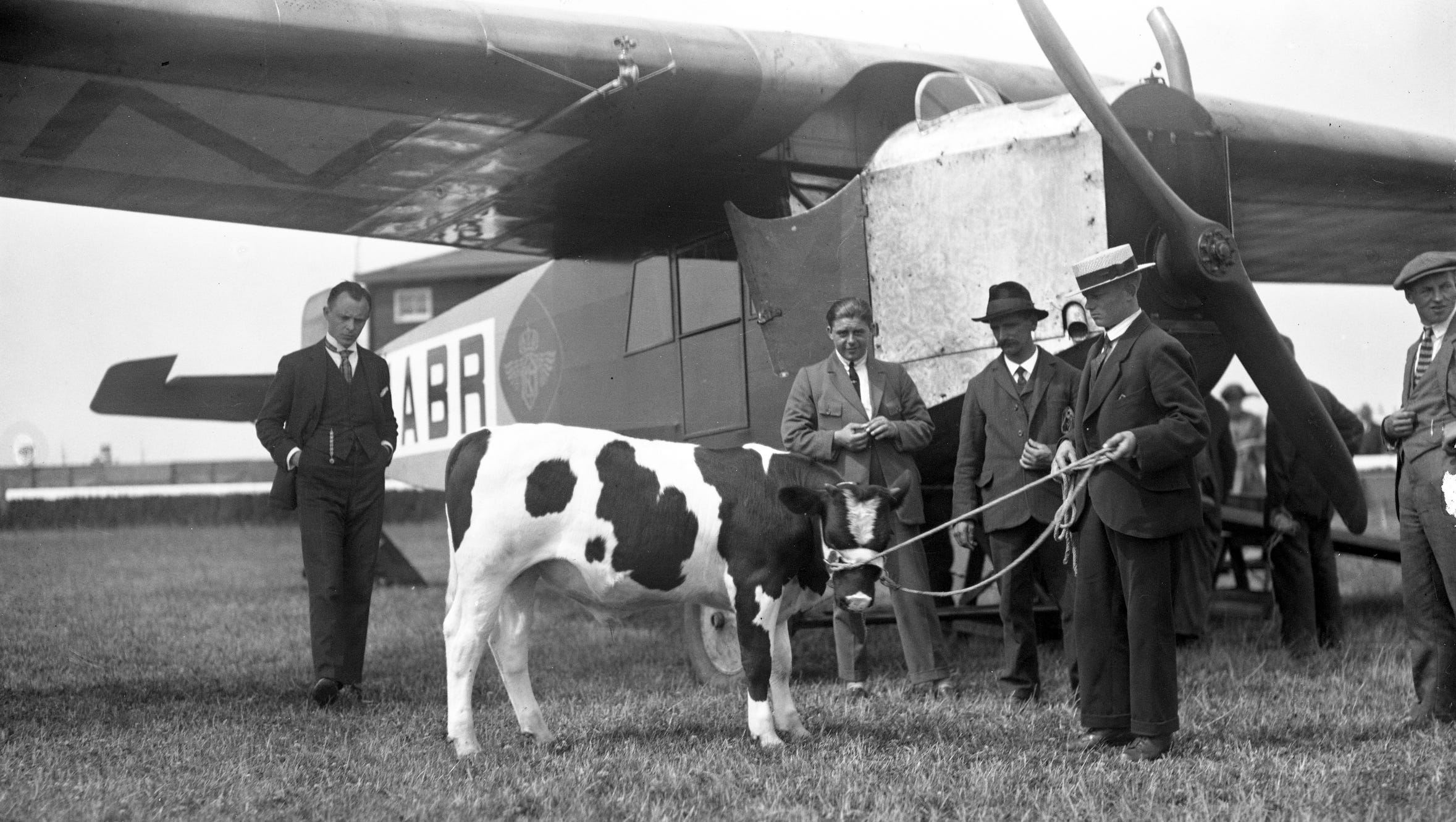 Air Horse One: This airline is strictly for the animals