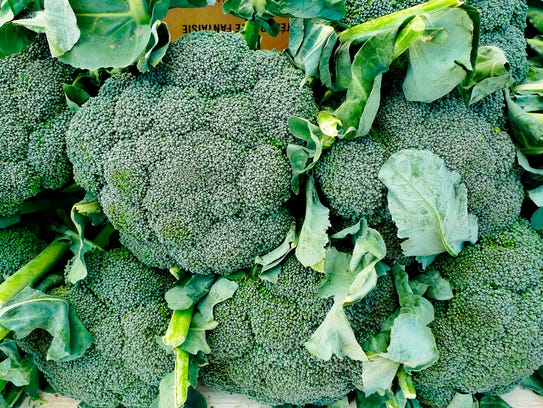 Grow your own adventure: Why and how to garden, now