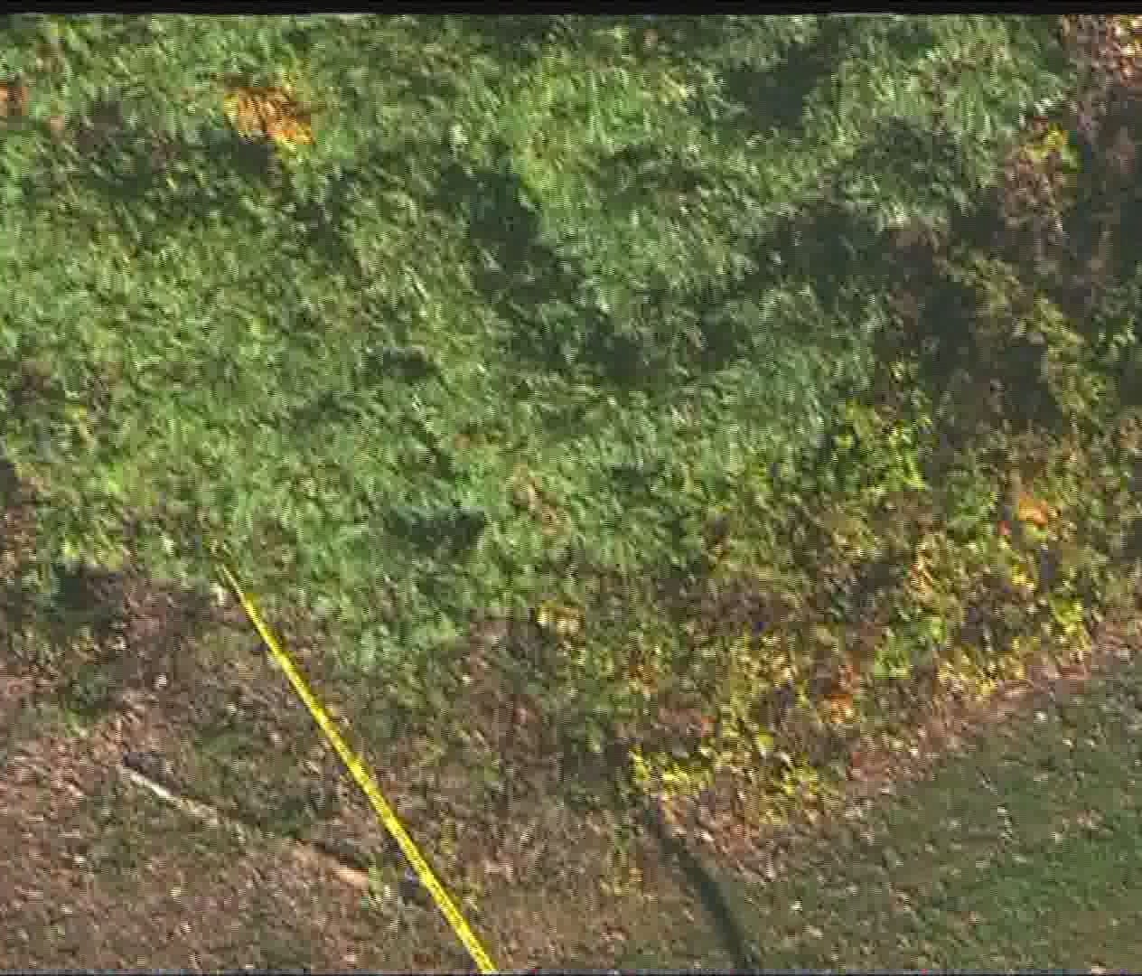 Report: Police to receive autopsy on body in Hannah Graham case | wusa9.com