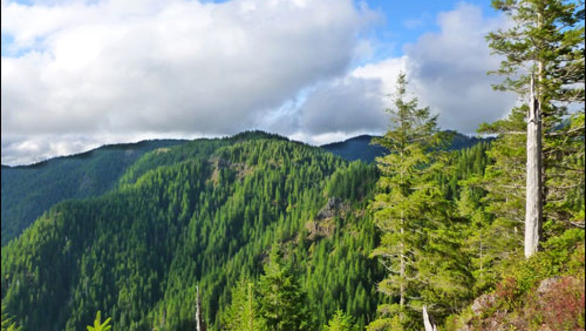 King and Elk Mountain