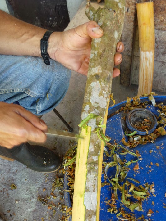 Master Gardener: Spices have flavor, history