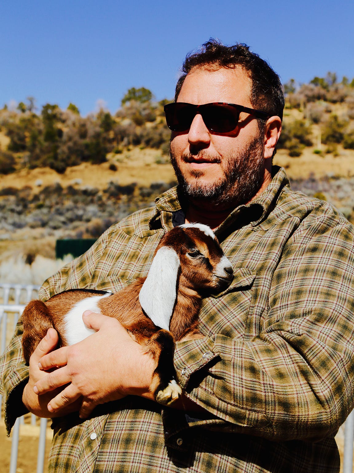 Road trip to regenerative goat ranch Angeles Crest Creamery