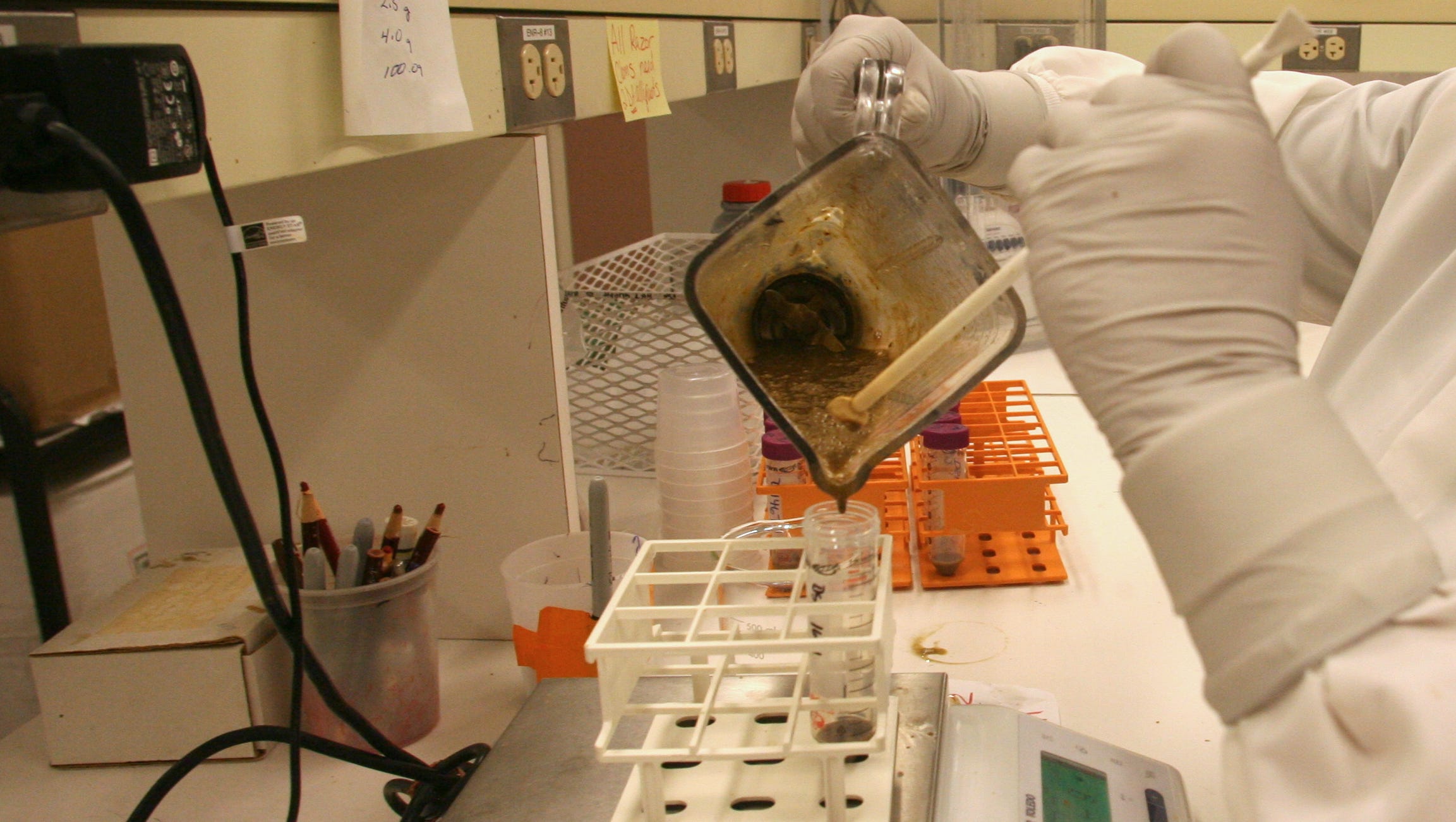 Kitsap shellfish monitors keep tabs on deadly toxins