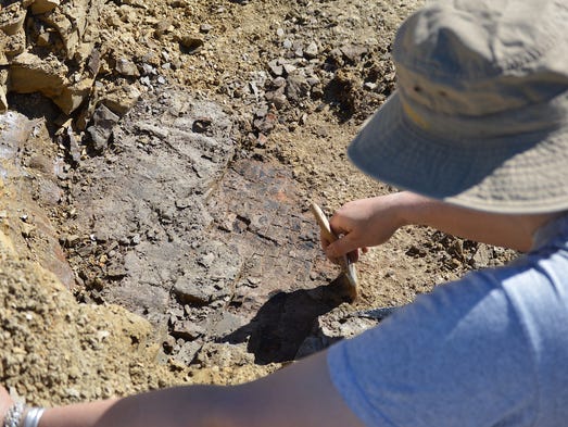 Dinosaurs in real-life: Where to find a "Jurassic World" around the US