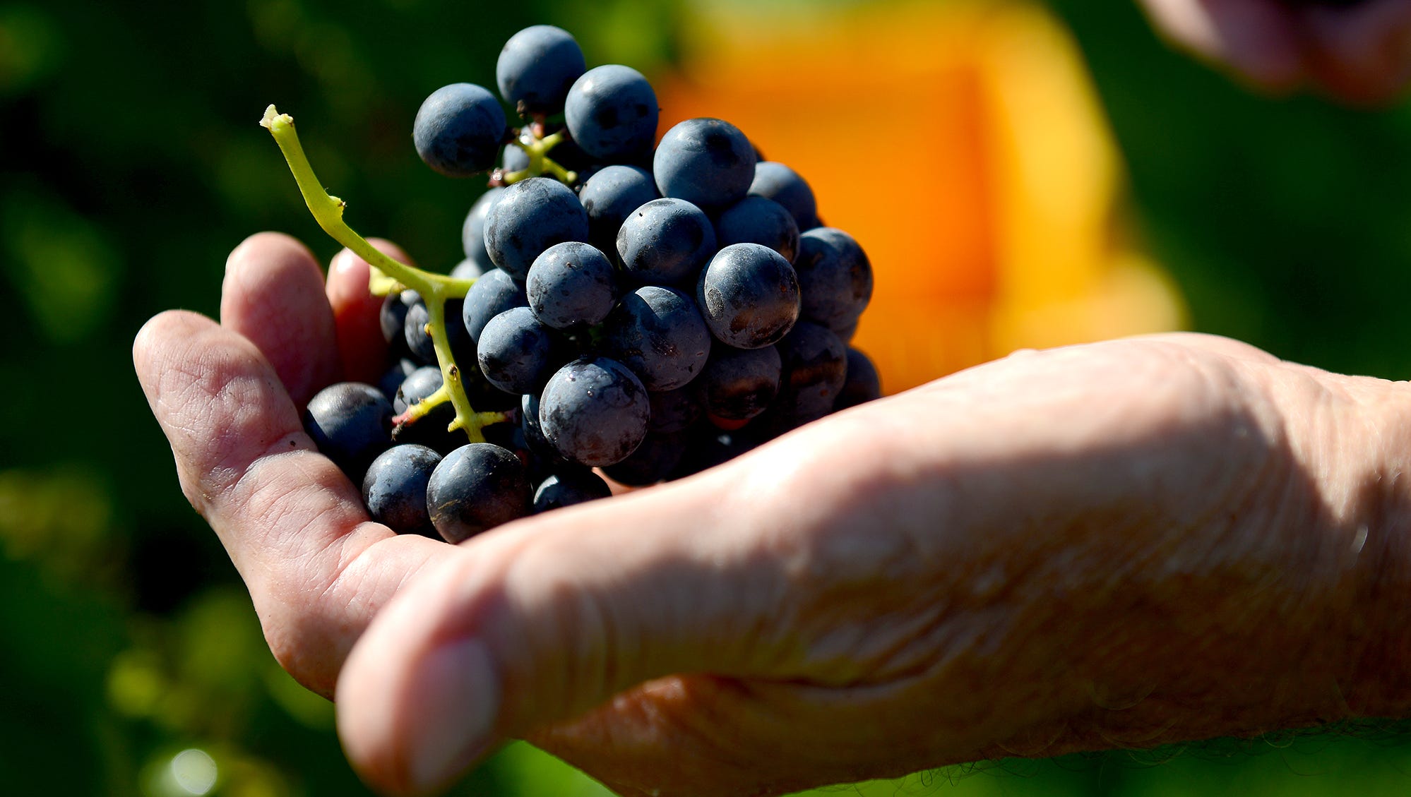 Good luck foods to eat on New Year's Eve