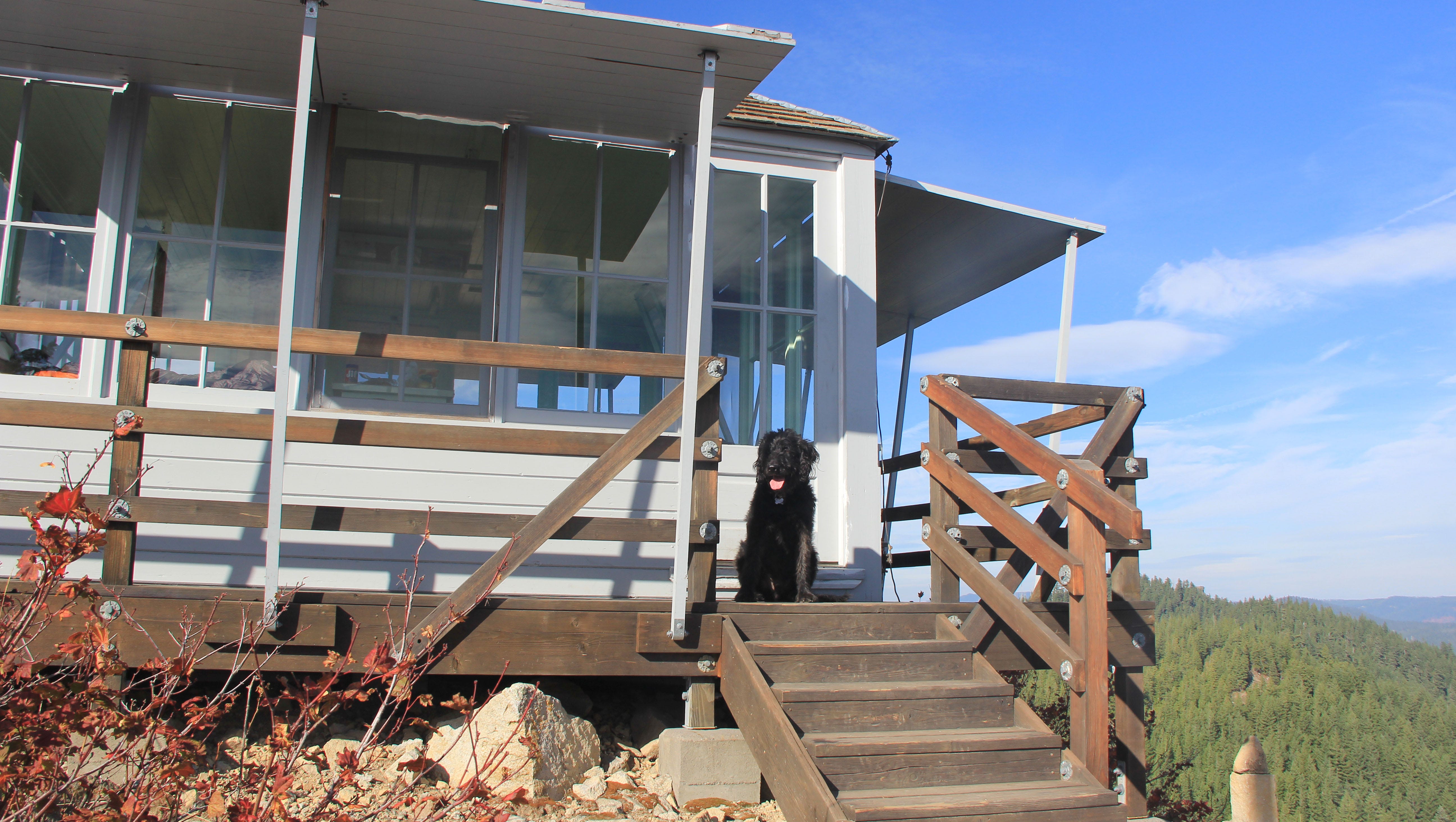 A night in the sky at Gold Butte Lookout