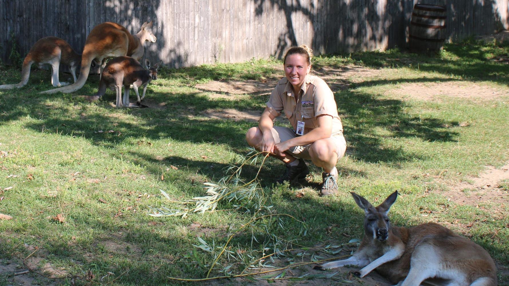 Animal attraction: Life of a zookeeper at the Detroit Zoo