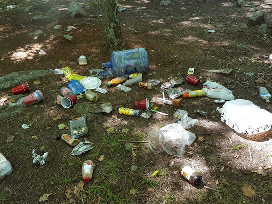 Hikers work to clean up Harriman State Park