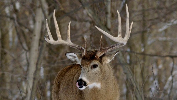 Wisconsin gun deer hunting season runs Nov. 20-28