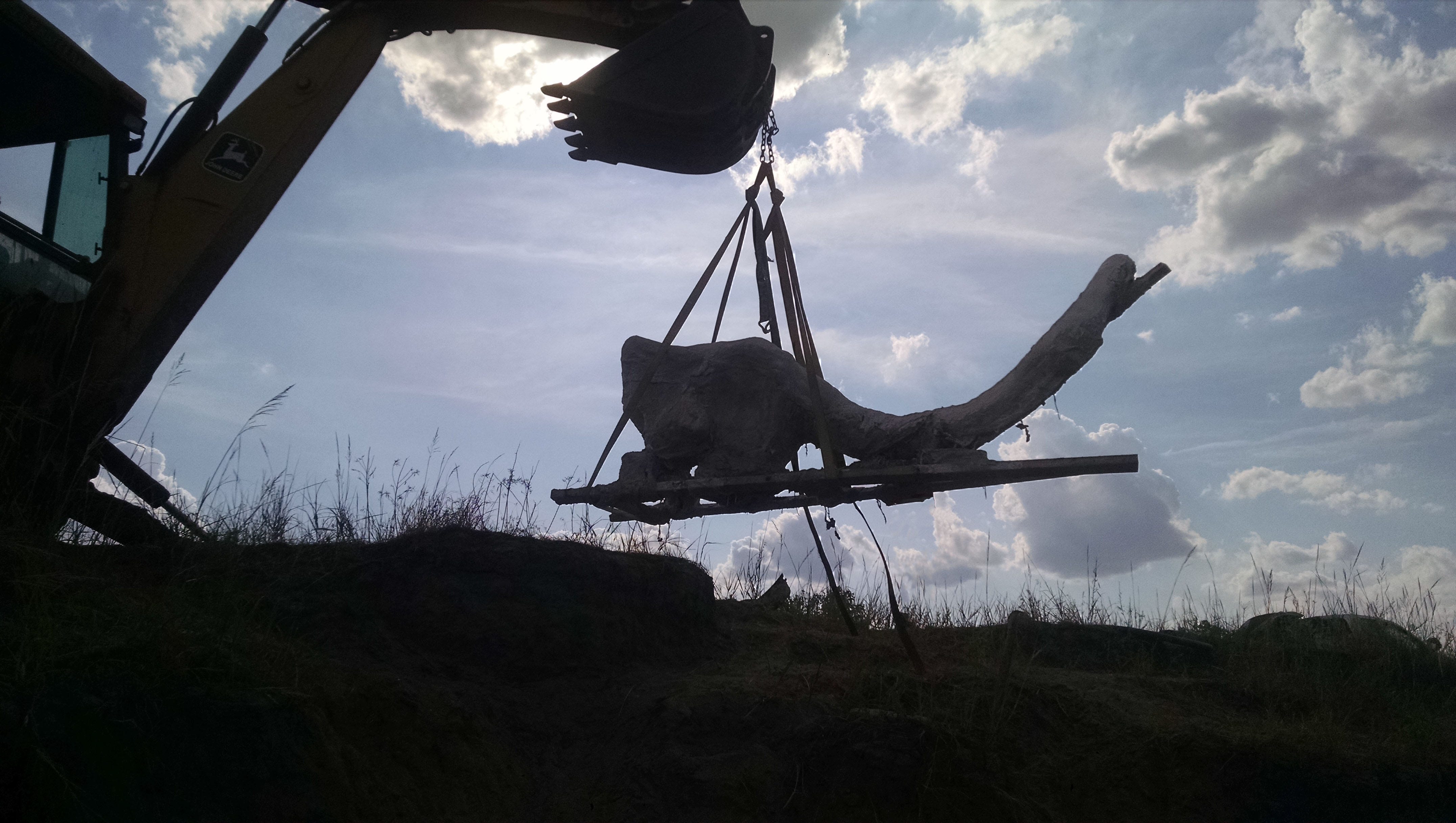 These bones recovered on a Montana ranch are mammoth. Truly.