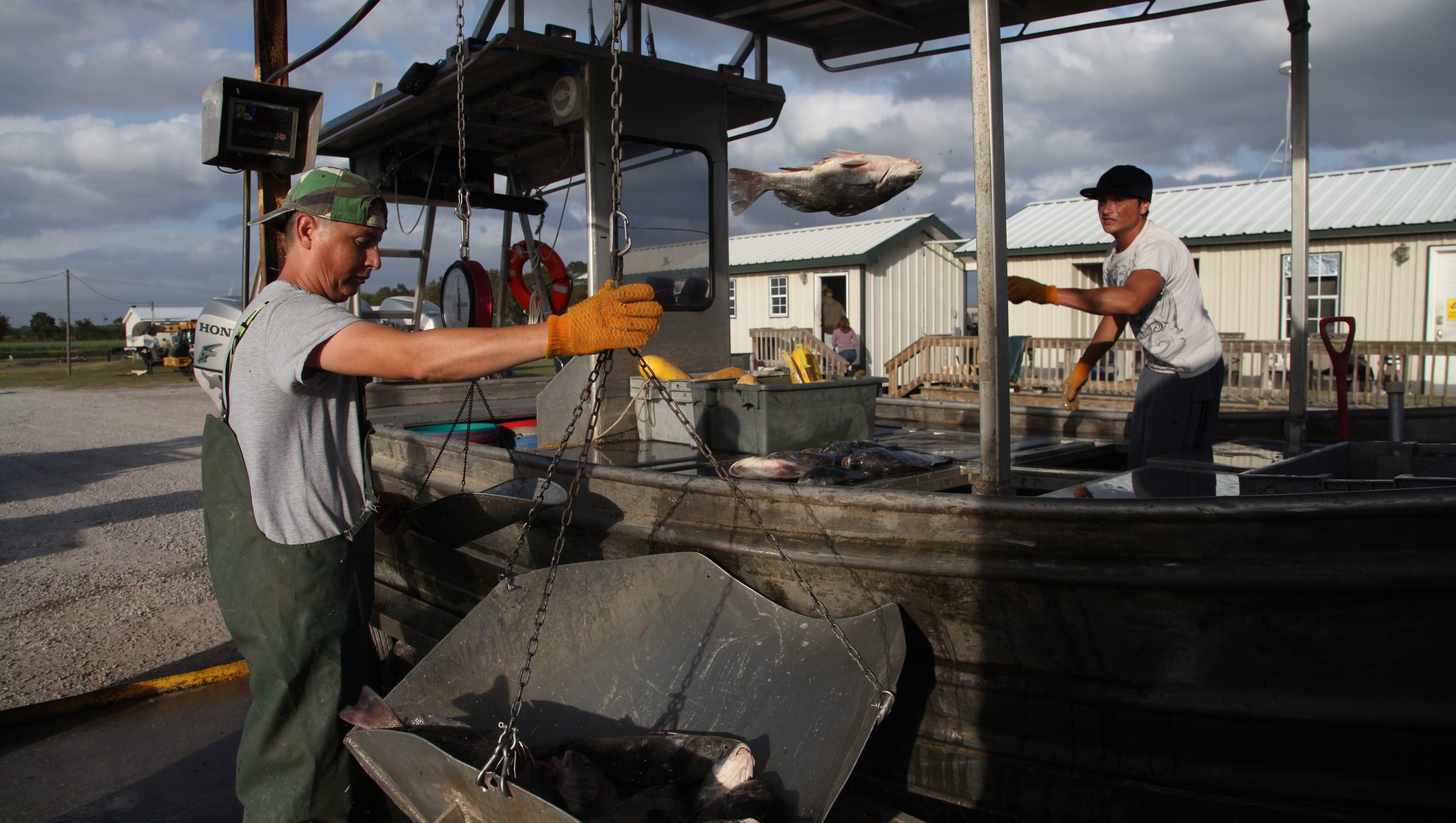 Guest-worker program helps Louisiana seafood facilities – fisherynation.com