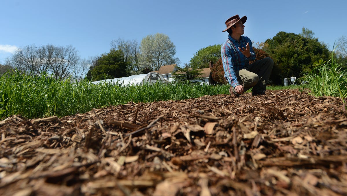 Perennial Roots Farm