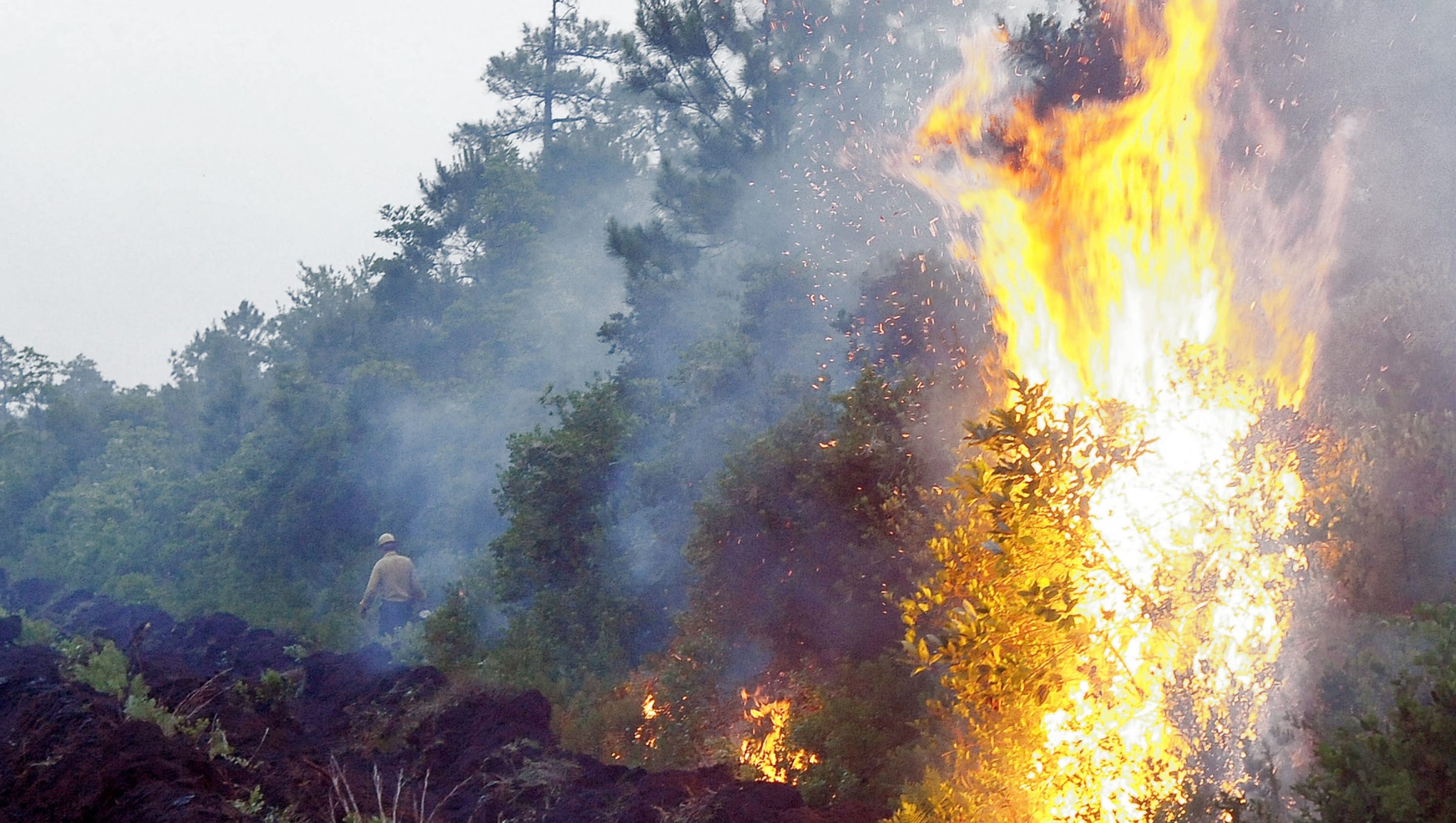 Appalachian Trail forest fire near Hot Springs likely human-caused