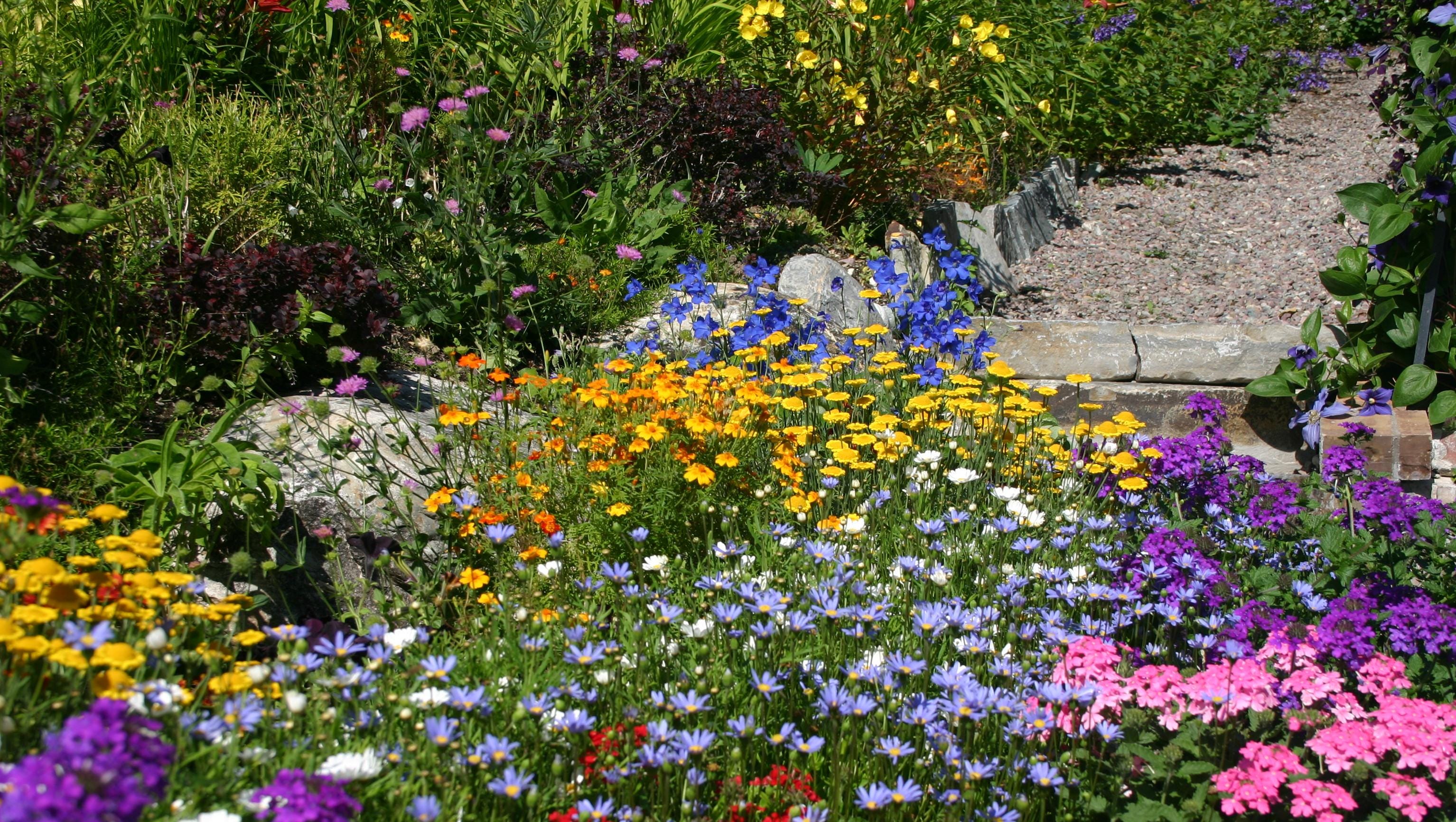 How to plan your Midwest perennial garden like a pro