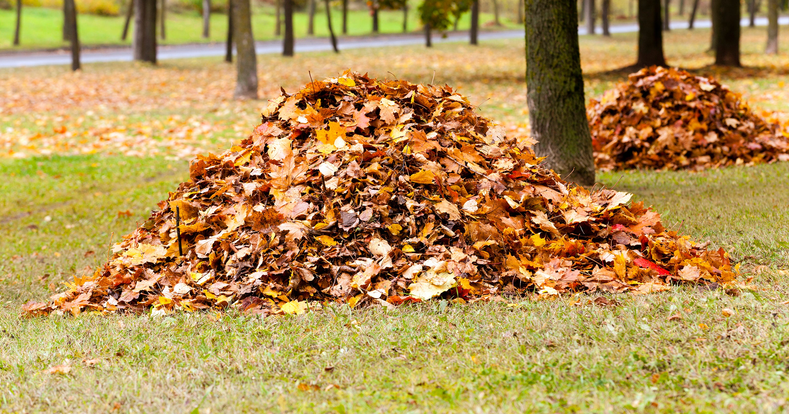 Leaf Raking Meaning