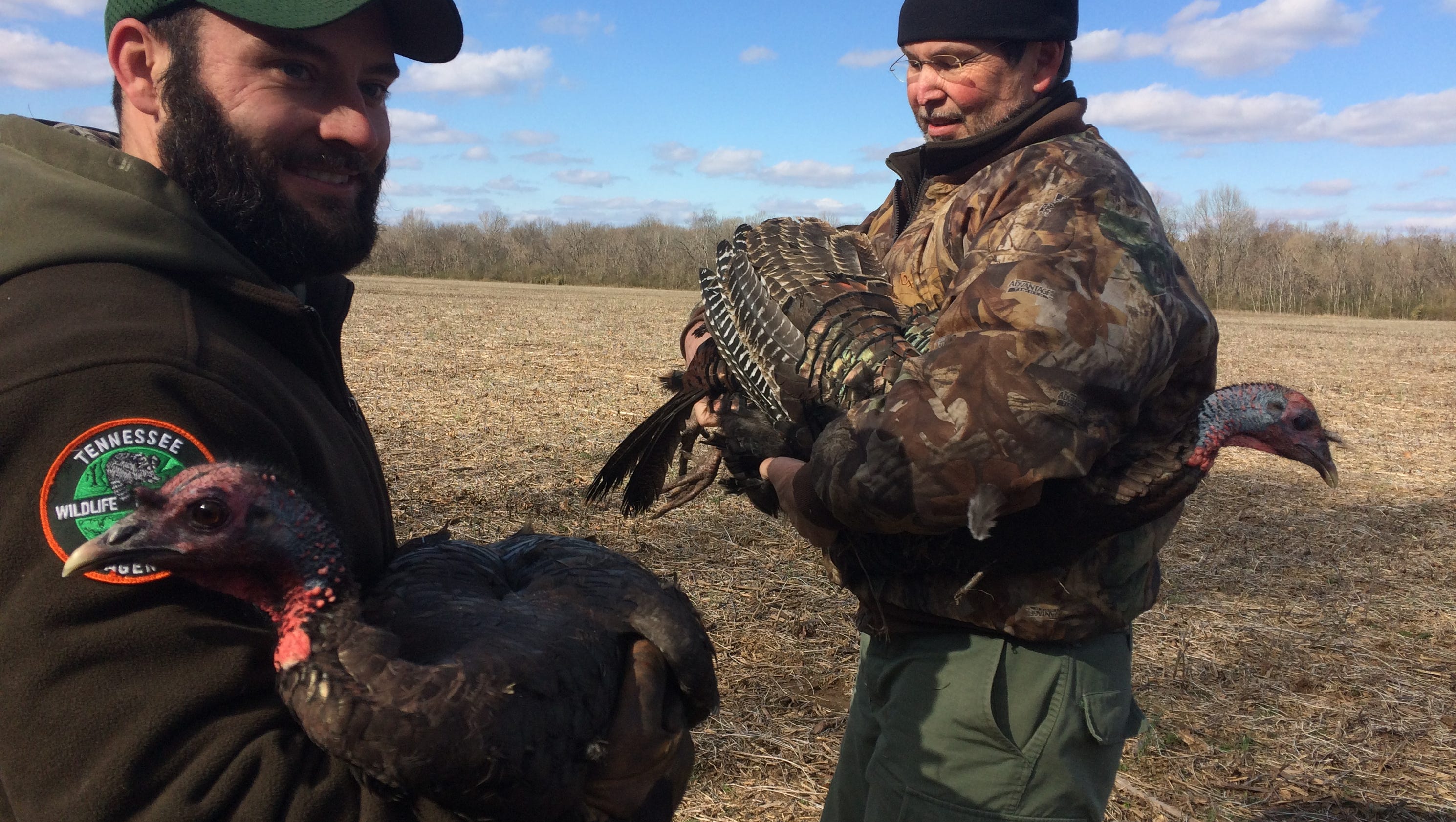 10 things to know about Tennessee's wild turkeys