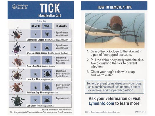 Perks of a harsh winter? It's killing ticks