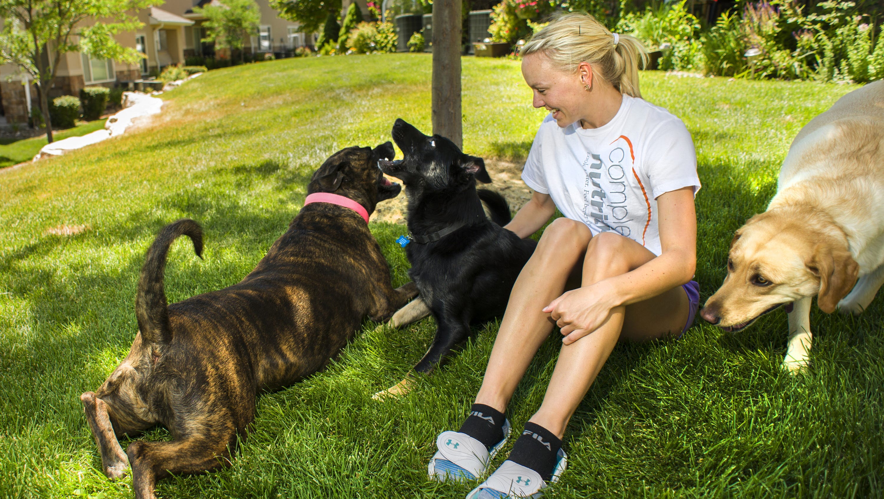 Bella, Max top list of most popular dog names in 2013