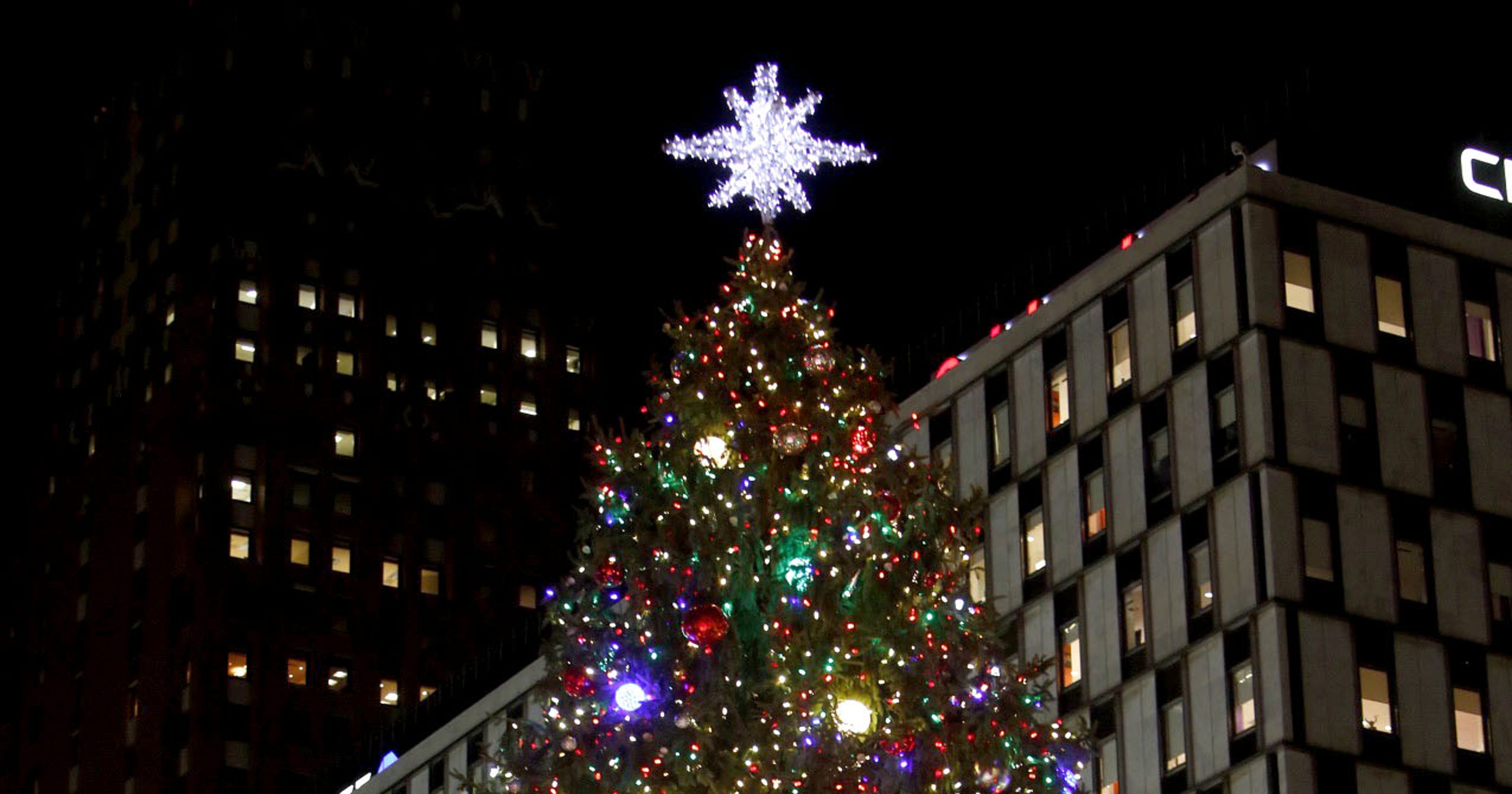 Norway spruce to serve as annual Detroit Christmas tree