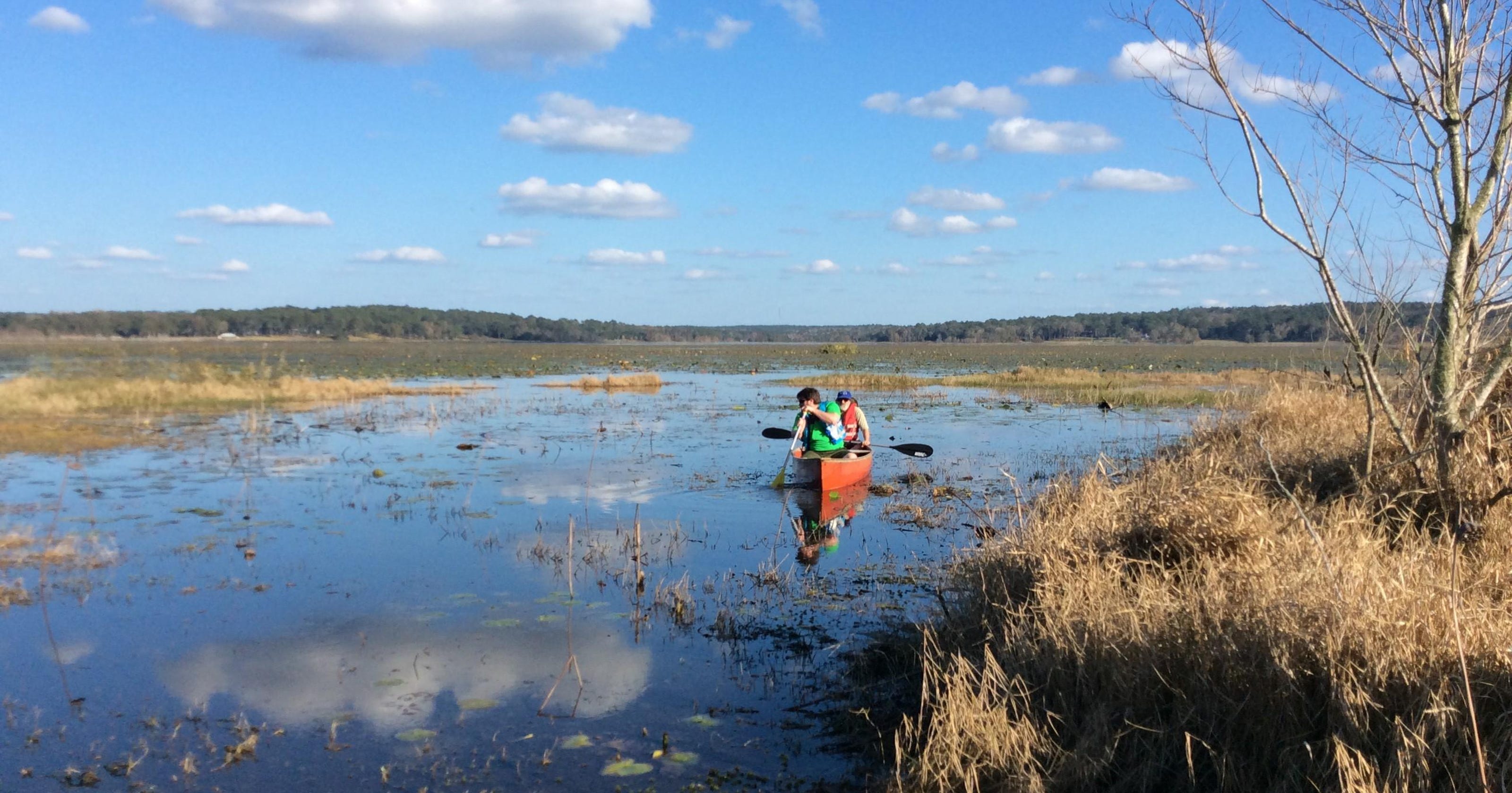 Lake Jackson neighborhood is home to a variety of wildlife