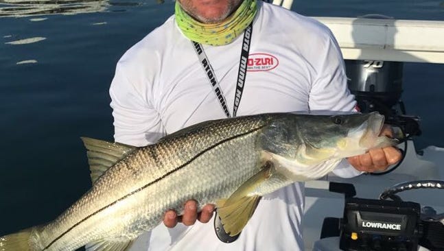 Snook season is now open