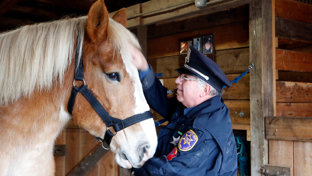 Rockland County Mounted Patrol Unit