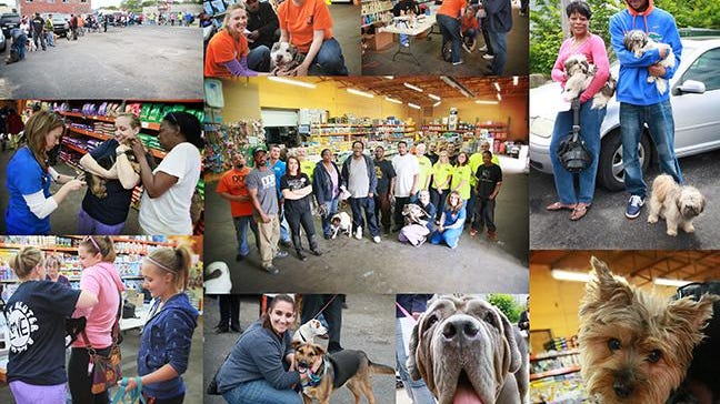 Detroit Dog Rescue offers free vaccination clinic
