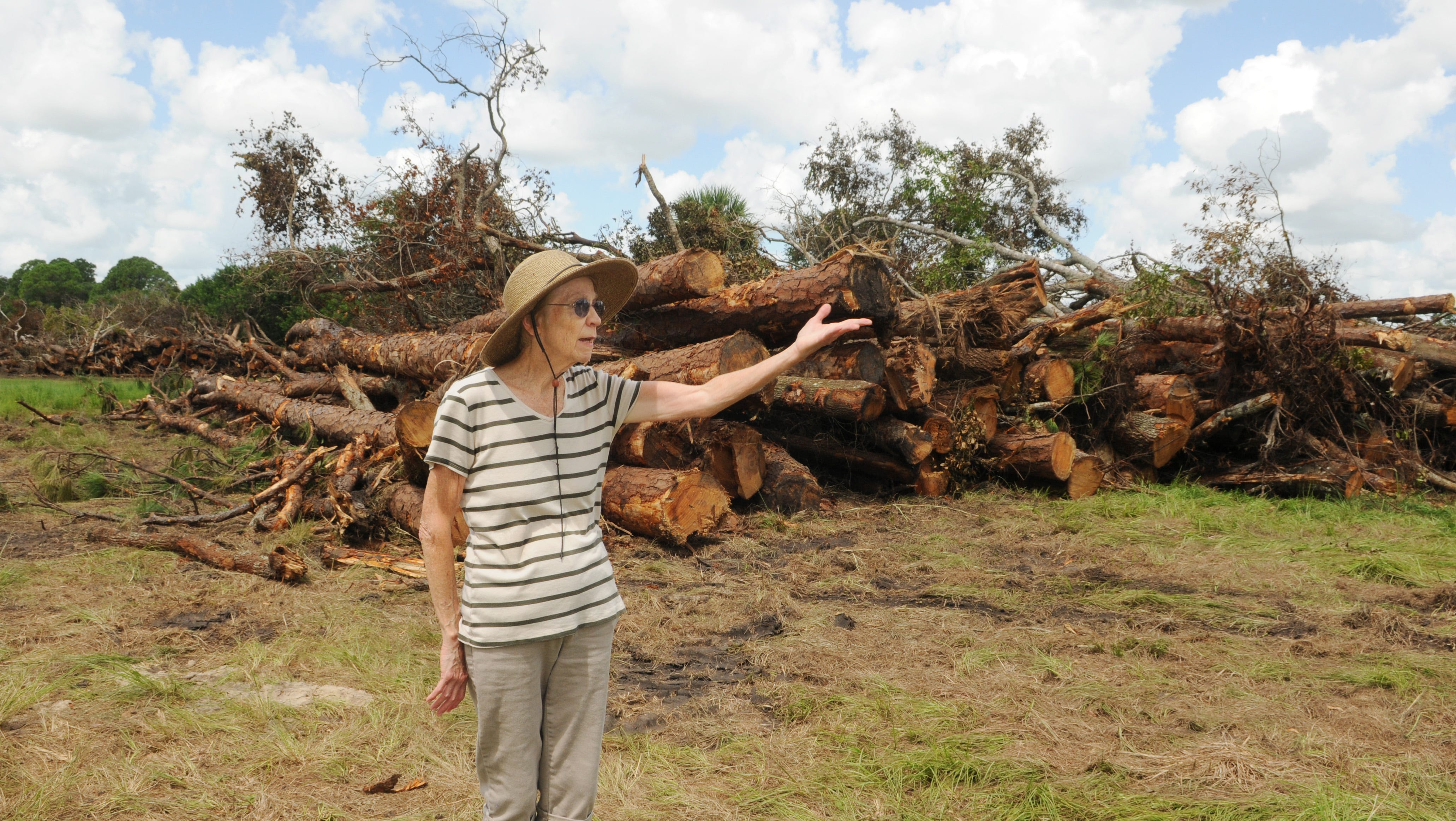 Residents upset about chopped down trees