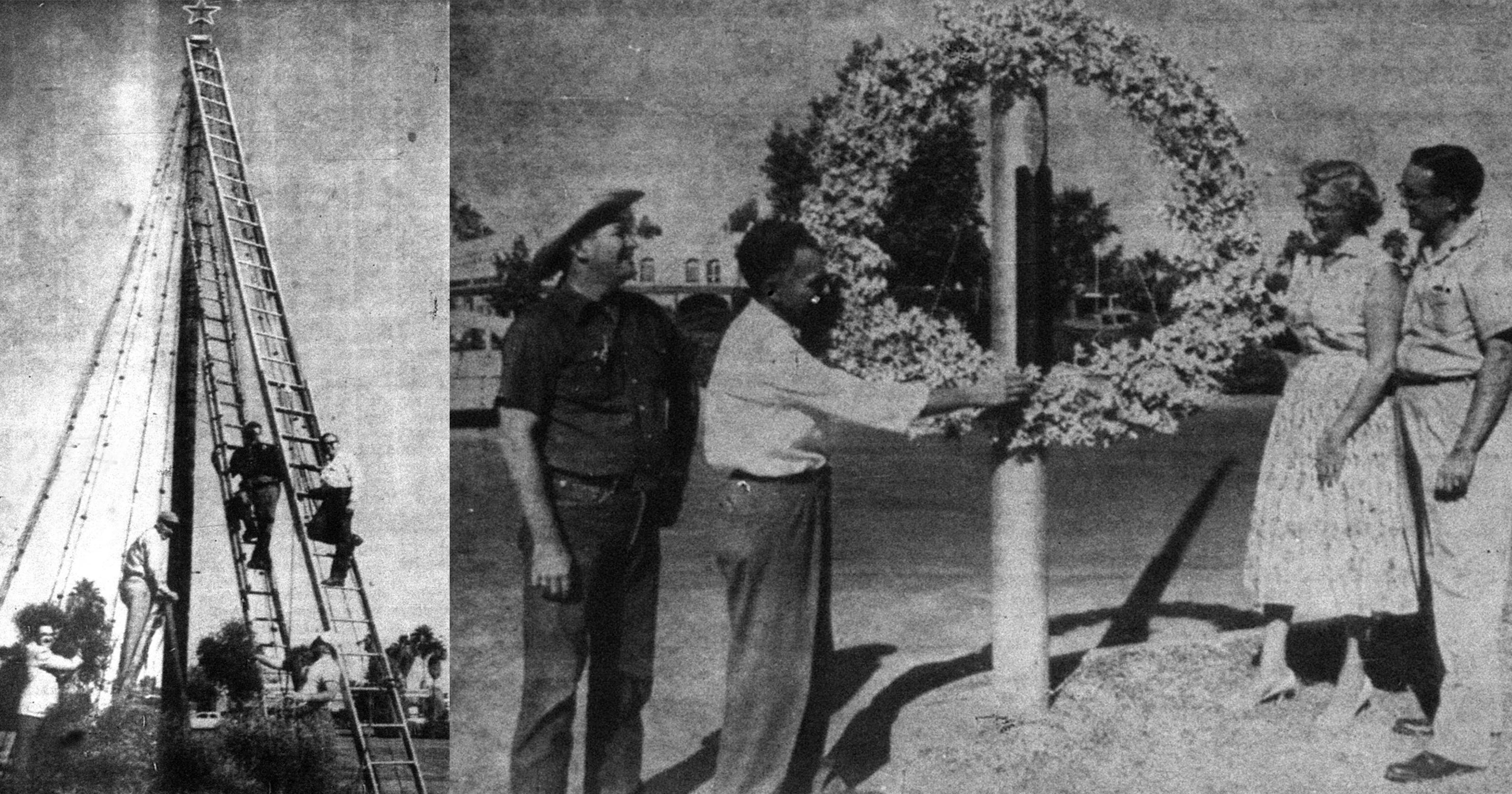How Chandler's Tumbleweed Tree tradition got started