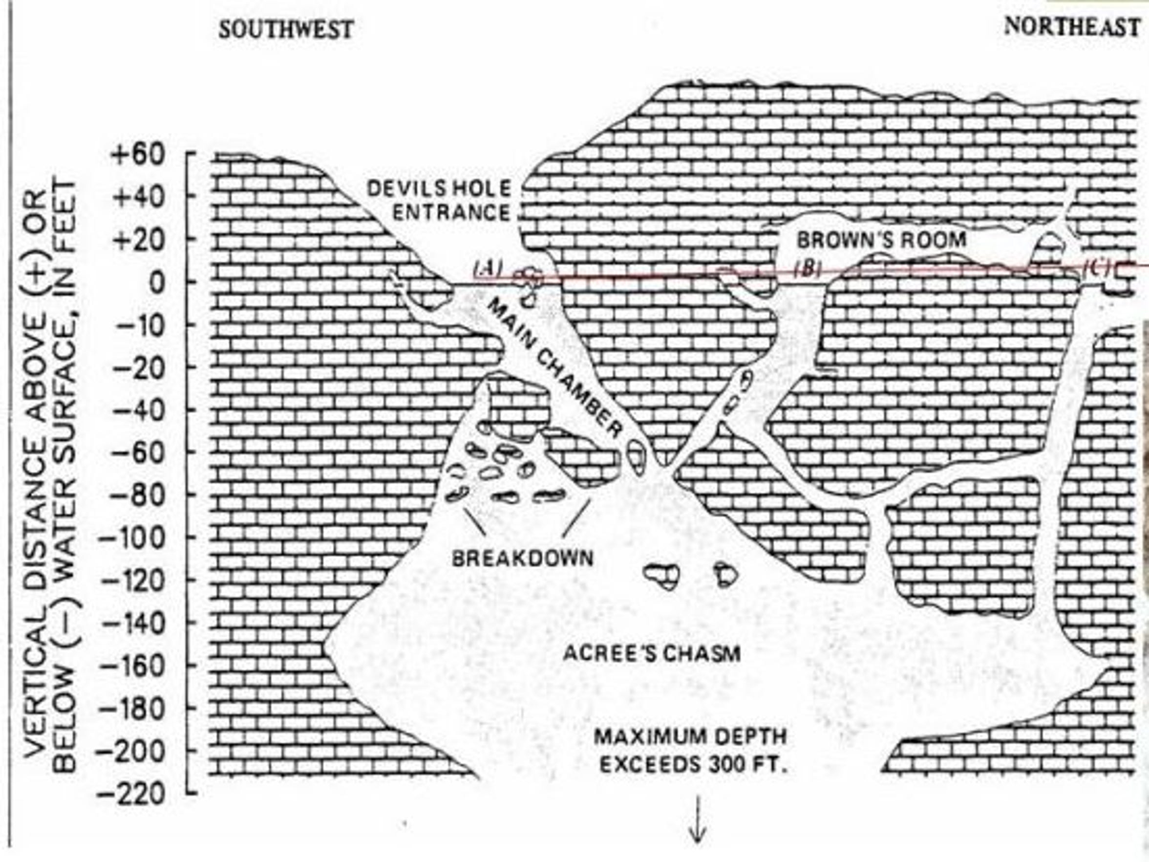 Devils Hole divers fight to save rare desert fish in Death Valley ...
