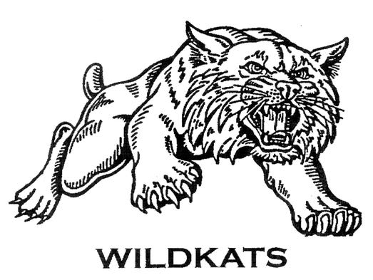 Originality tough to come by in Arizona high school mascot names