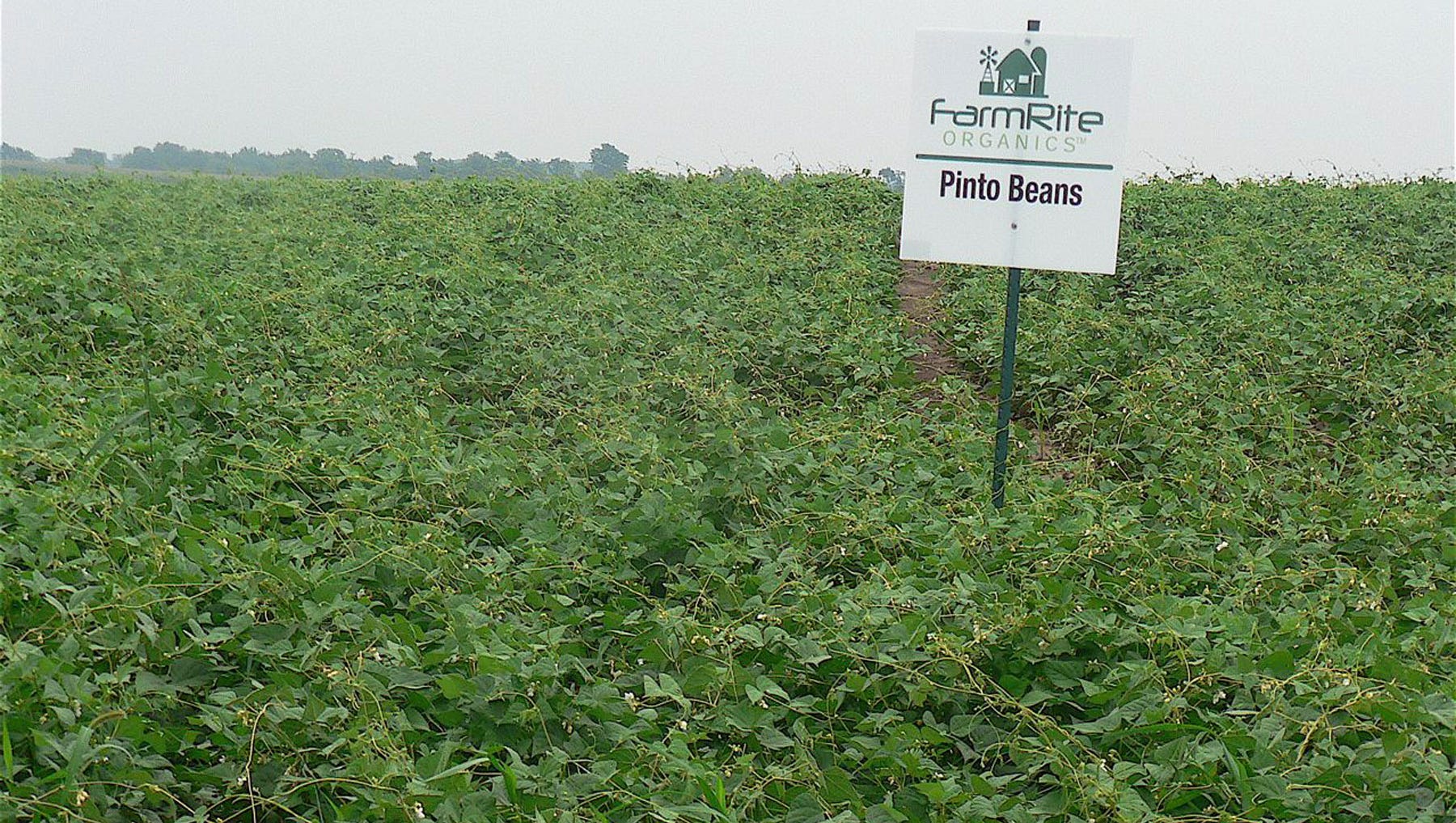 Organic farming a choice