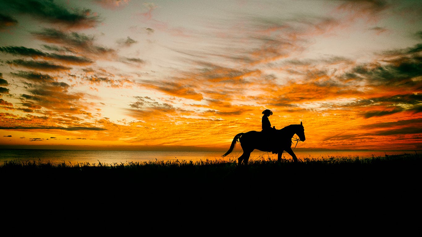 American Psychological Association: Traditional masculinity is harmful