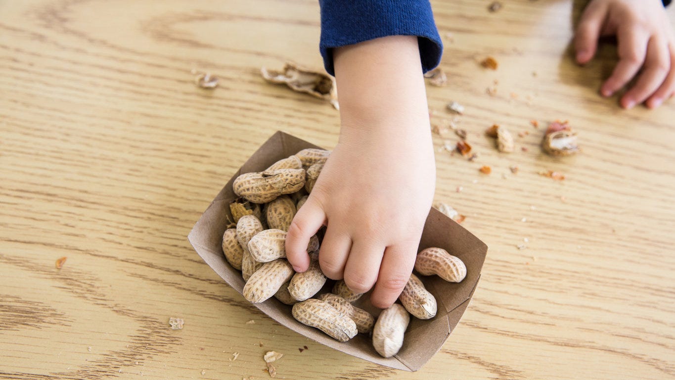 Peanut Allergy Treatment Stanford led Study Uses Antibody Injection peanut-allergy-treatment-stanford-led-study-uses-antibody-injection