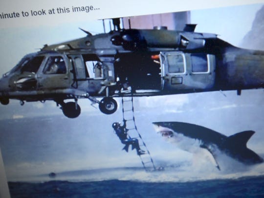 Fake news? Ask a librarian