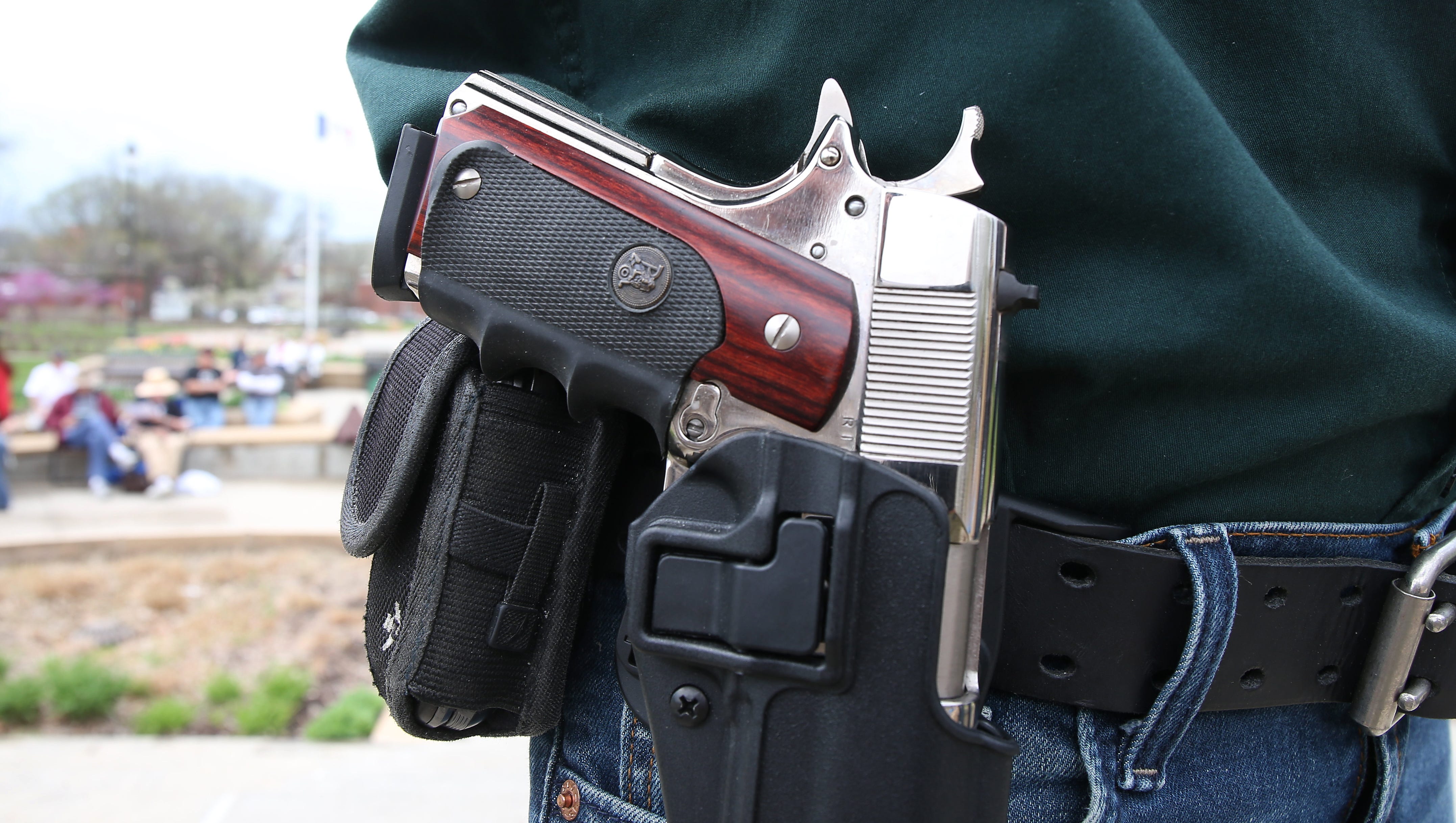 Iowa gun rights amendment gets majority support, Iowa Poll finds