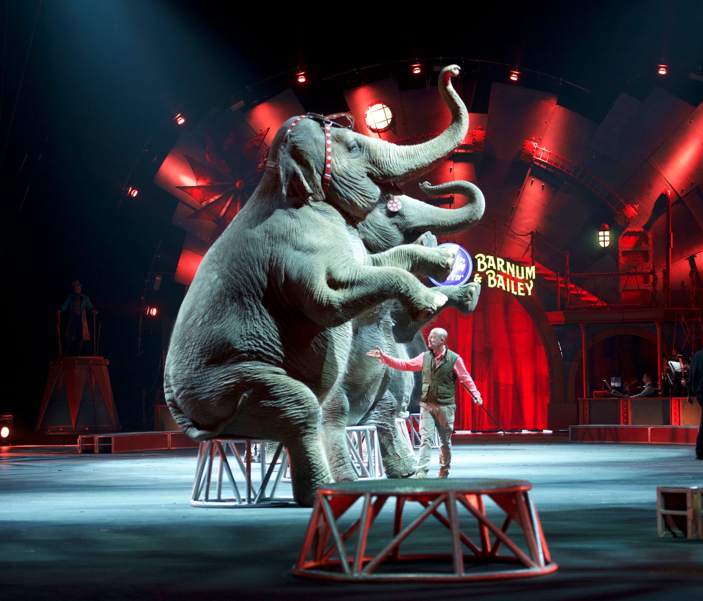 Ringling elephants perform last show, end 145-year run | kvue.com